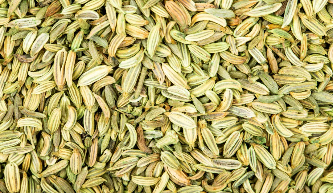 Fennel Seeds or Saunf Benefits in Pakistan: Digestion & Hormones – ACTIVIT